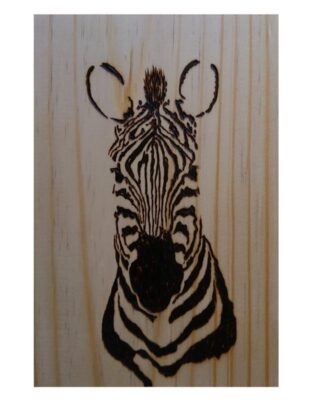 Pyrography Art - Zebra 2 - mikdanco